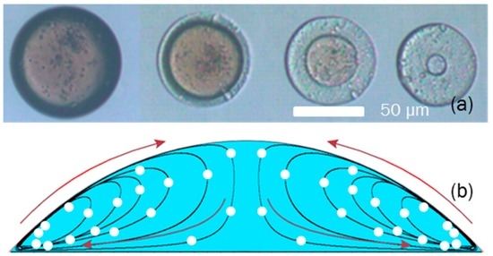 Self-Assembly Kinetics of Colloidal Particles inside Monodispersed ...