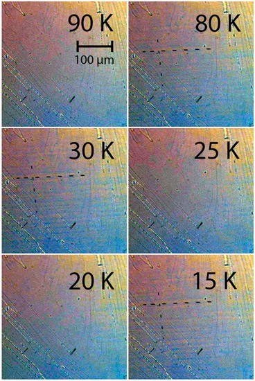 Polarized Light Microscopy Crystals