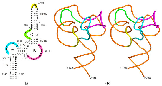 Crystals | Free Full-Text | Crystal Structure of the 23S rRNA Fragment ...