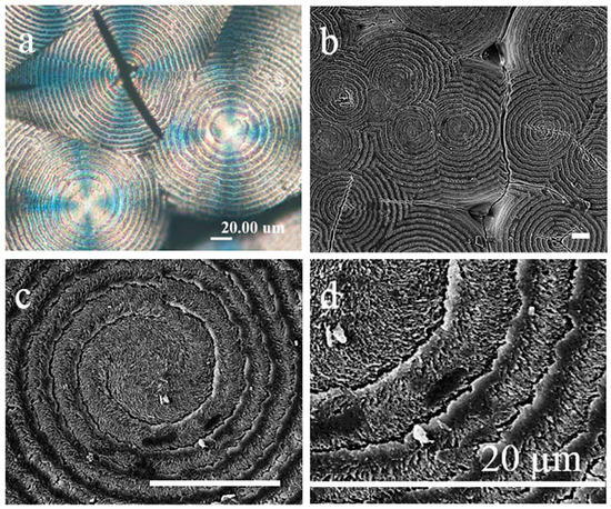 Crystals | Special Issue : Crystal Morphology and Assembly in Spherulites