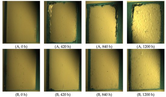 Growth of High Quality Al-Doped CsLiB6O10 Crystals Using Cs2O-Li2O-MoO3 ...