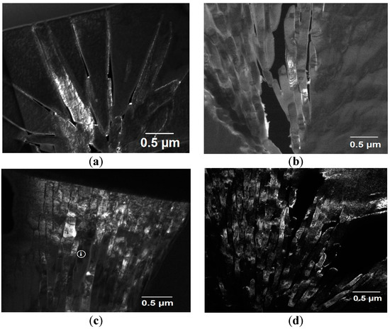 Morphology of Spherulites in Rapidly Solidified Ni3Ge Droplets