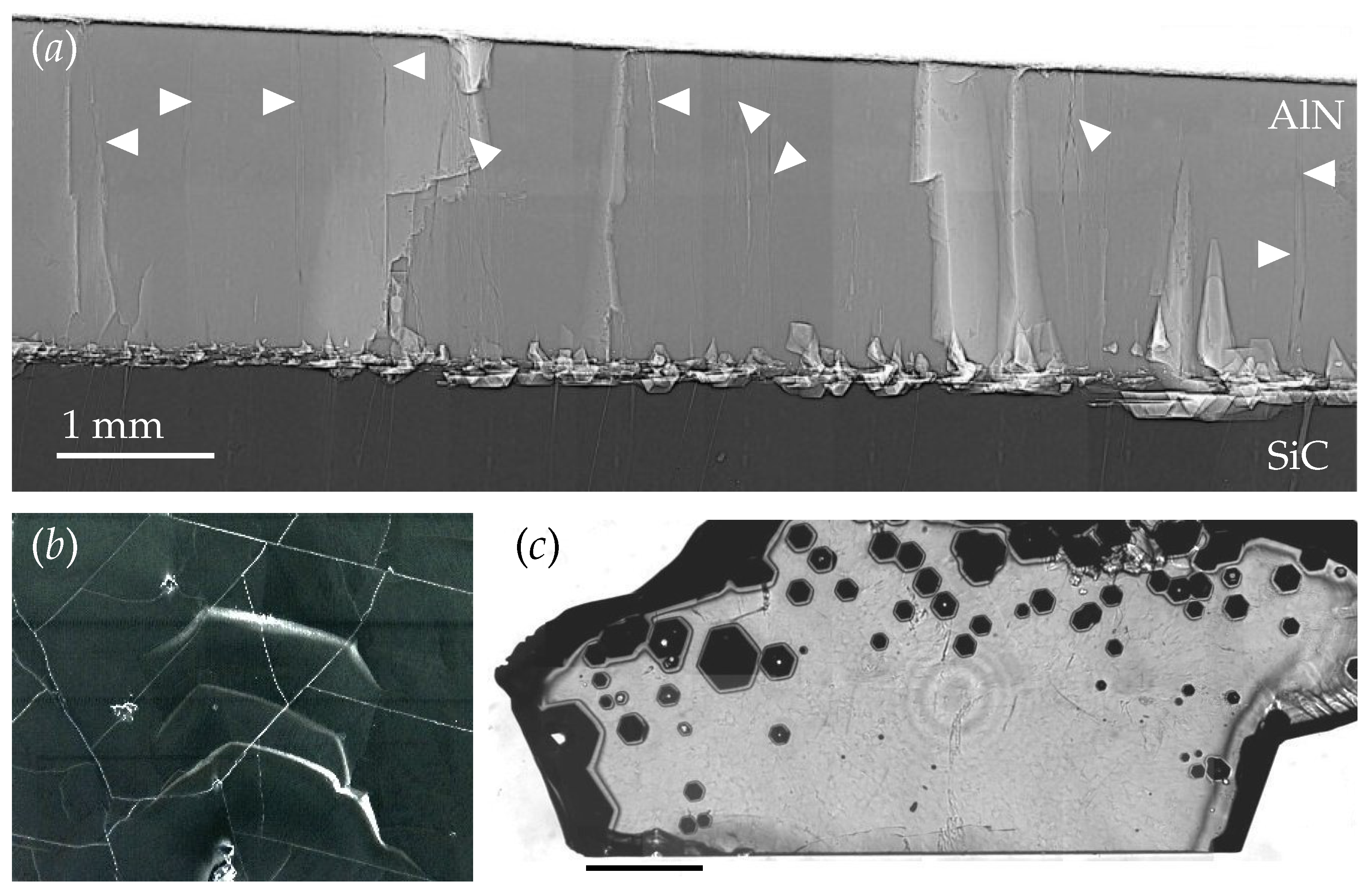 Distribution of Dislocations near the Interface in AlN Crystals Grown ...
