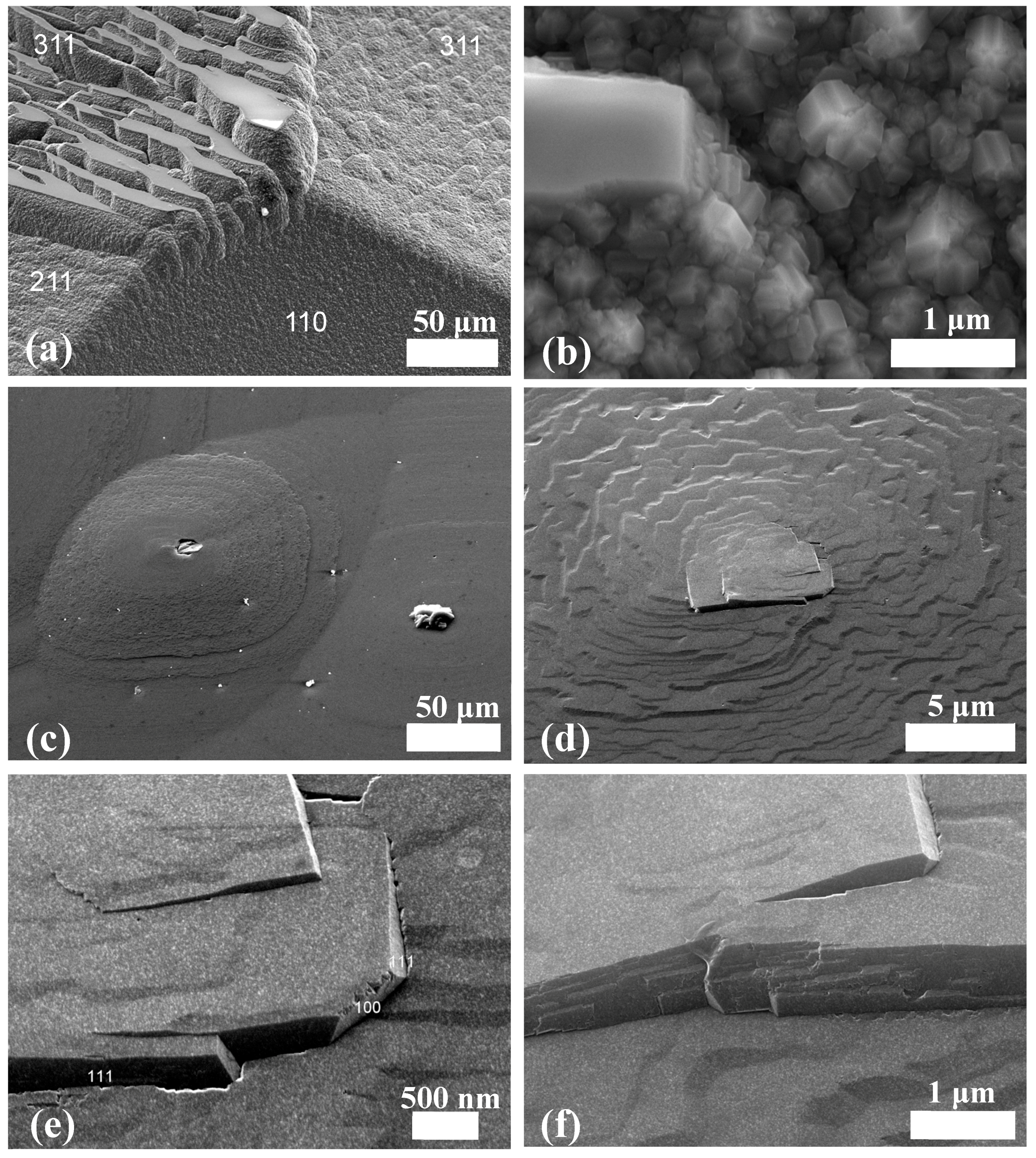Morphology of Diamond Layers Grown on Different Facets of Single ...