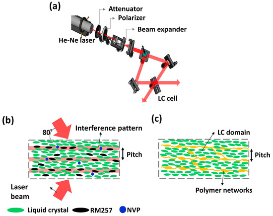 Doping Liquid Crystal Cells with Photocurable Monomer via Holographic ...