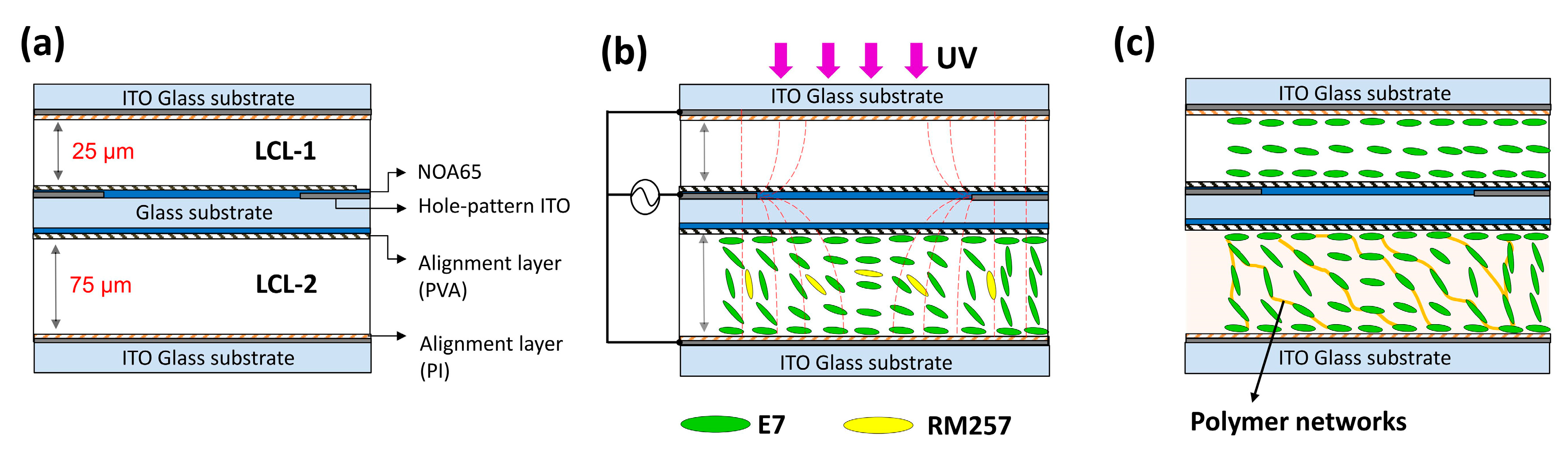 Crystals | Free Full-Text | An Electrically Tunable Liquid Crystal Lens ...