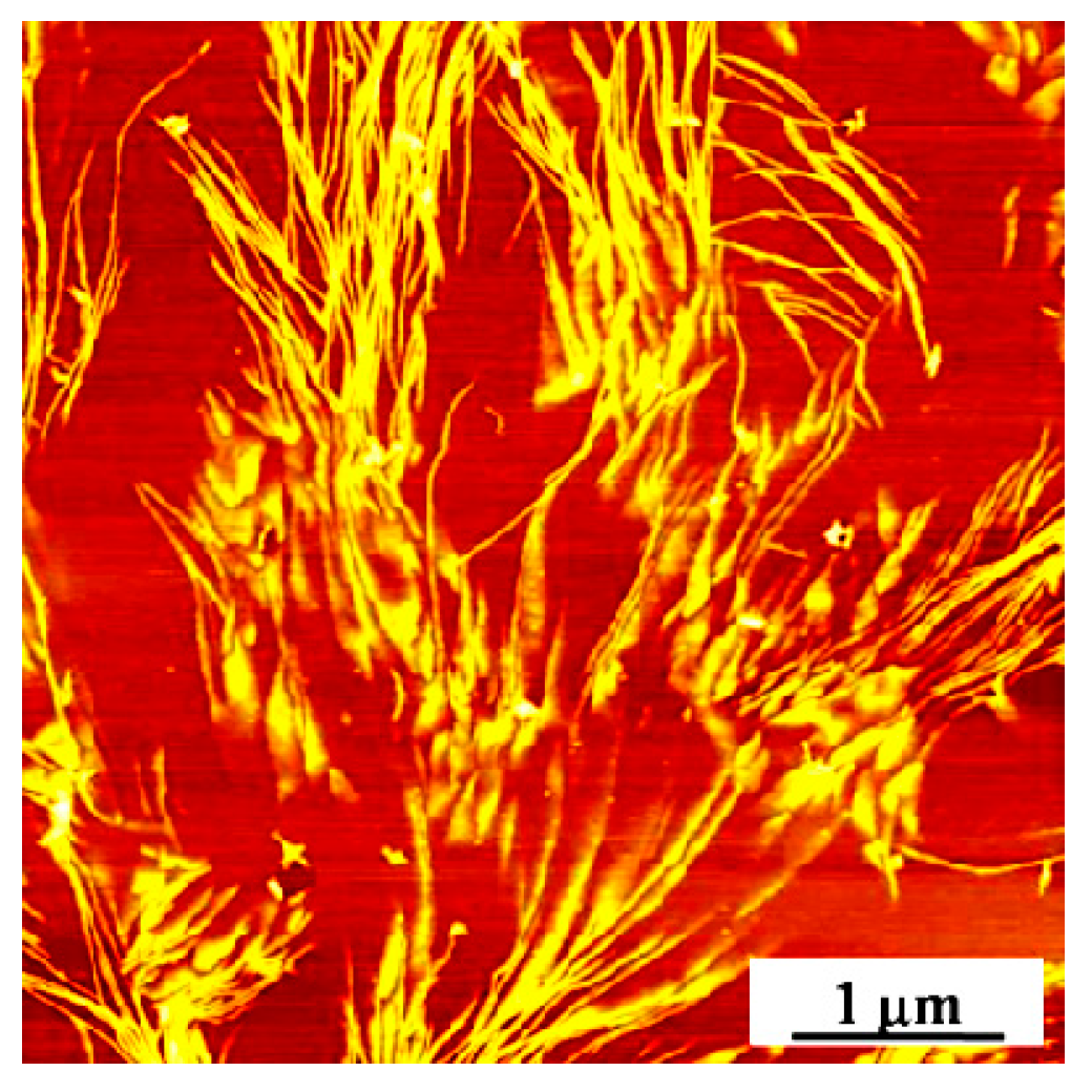 Organization of Twisting Lamellar Crystals in Birefringent Banded ...
