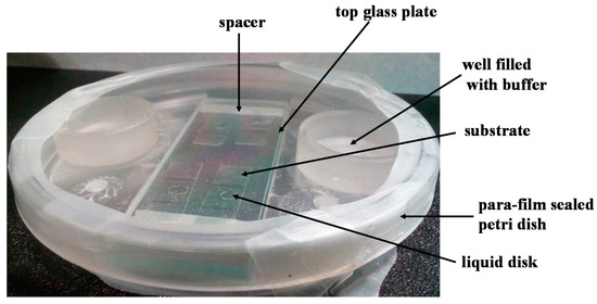 Precipitant-Free Crystallization of Protein Molecules Induced by ...