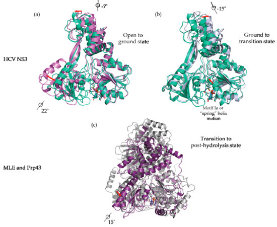 Structural Basis of DEAH/RHA Helicase Activity