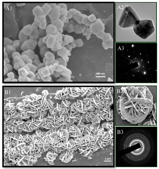 A Different View of Solvent Effects in Crystallization
