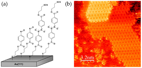 Aromatic C-Nitroso Compounds and Their Dimers: A Model for Probing the ...
