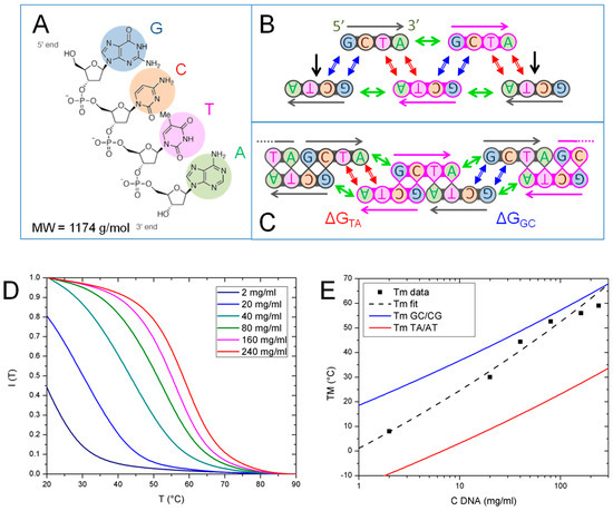 Liquid Crystal Ordering of Four-Base-Long DNA Oligomers with Both G–C ...