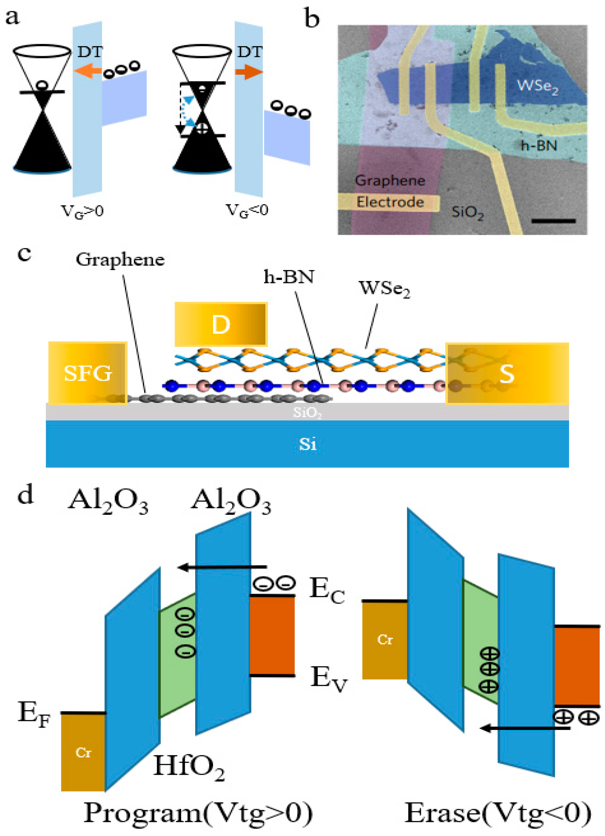 Crystals | Free Full-Text | Van der Waals Heterostructure Based Field ...