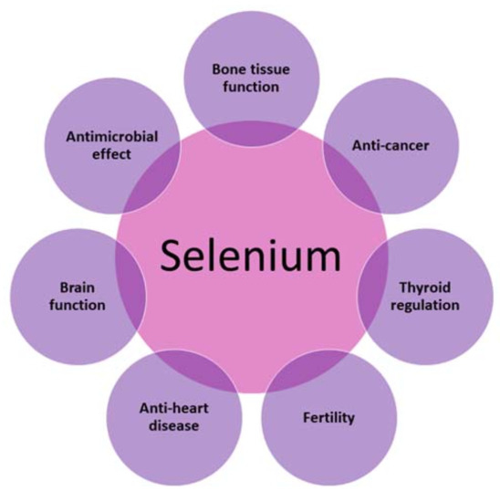 Selenium-Doped Hydroxyapatite Nanocrystals–Synthesis, Physicochemical ...
