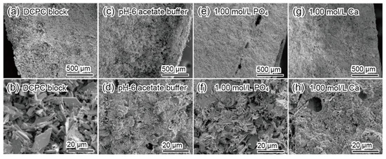Effect of Calcium and Phosphate on Compositional Conversion from ...
