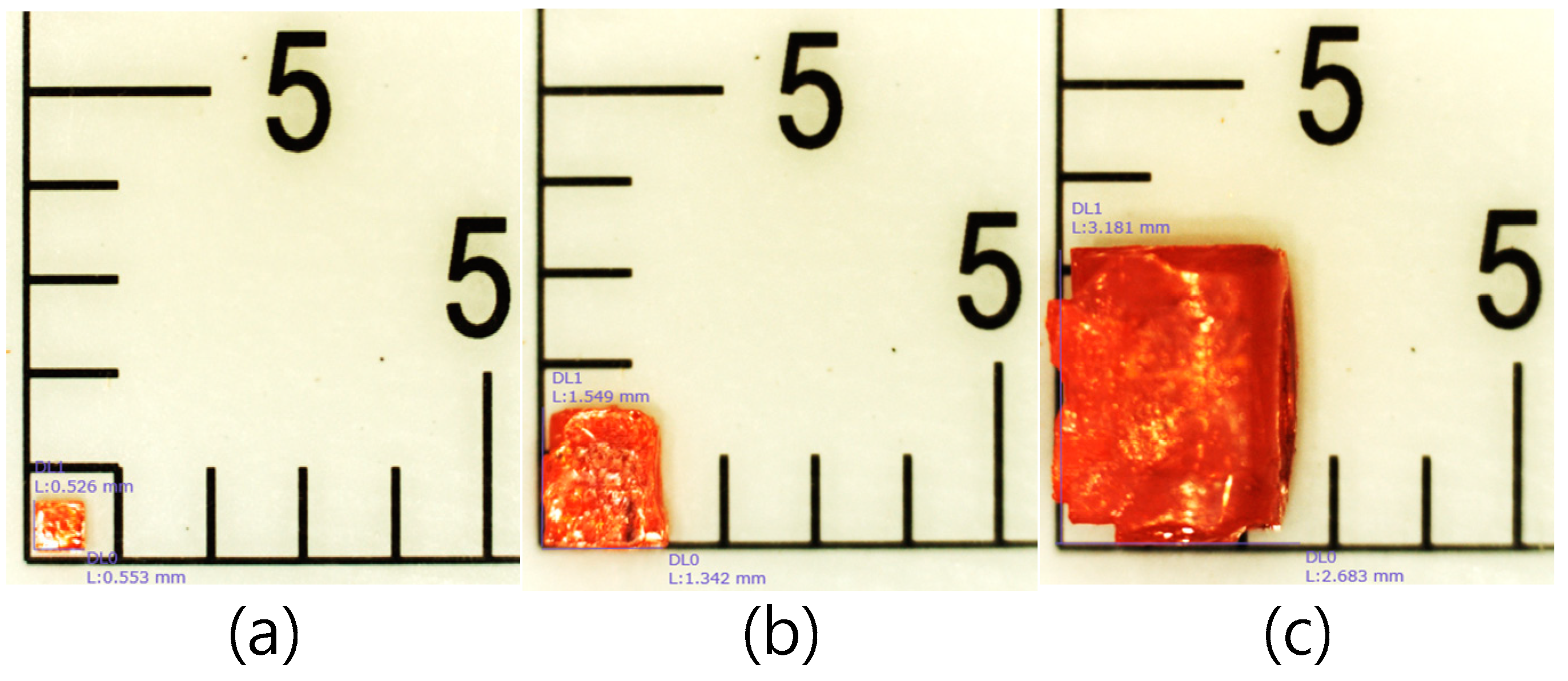 Observation of Hybrid MAPbBr3 Perovskite Bulk Crystals Grown by ...