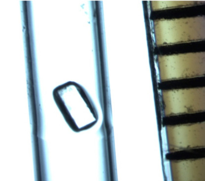 Crystals | Free Full-Text | From Initial Hit to Crystal Optimization ...