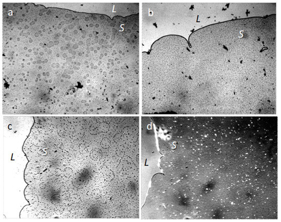 A Study of the Structural Organization of Water and Aqueous Solutions ...