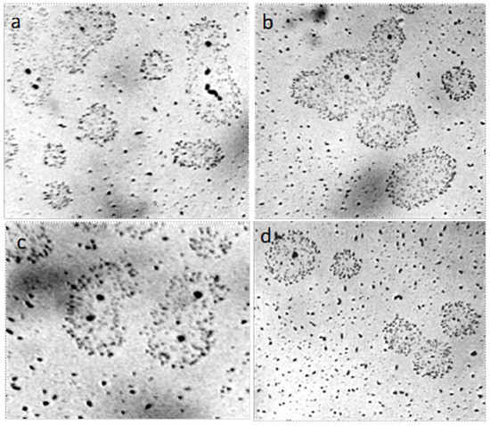 A Study of the Structural Organization of Water and Aqueous Solutions ...