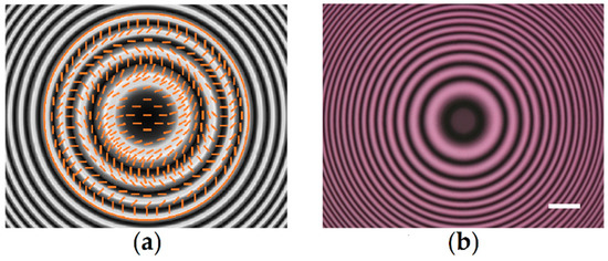 A Fast-Response and Helicity-Dependent Lens Enabled by Micro-Patterned ...