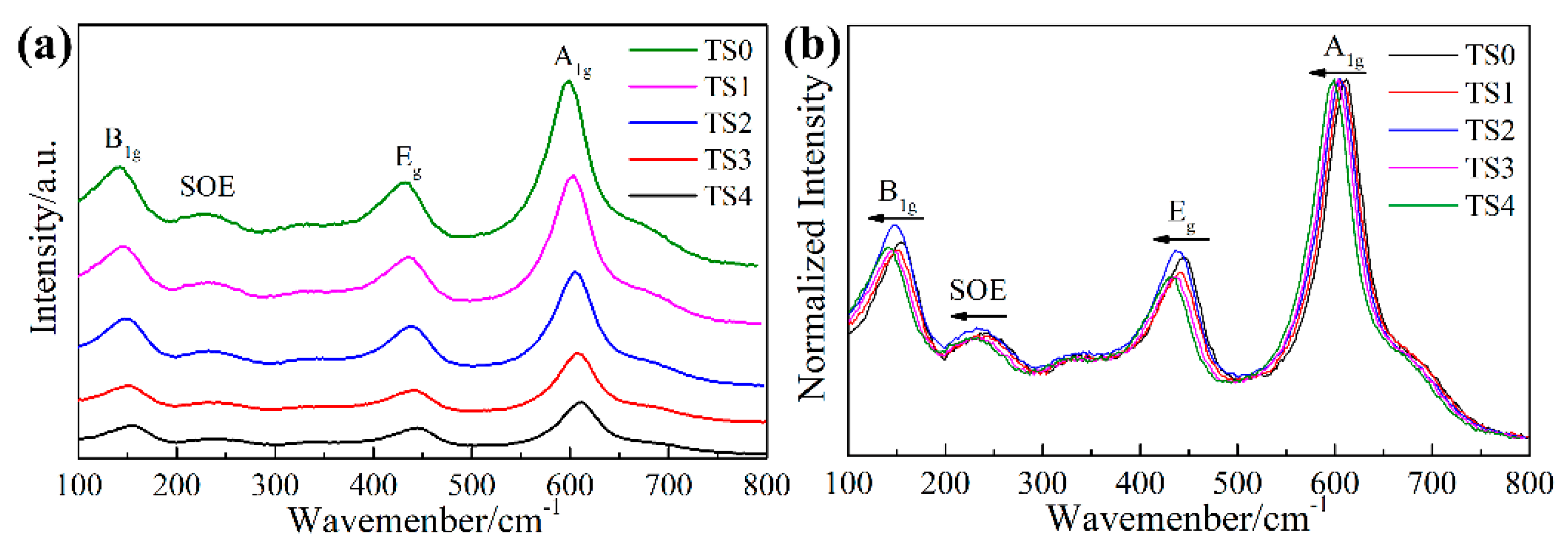 Crystals | Free Full-Text | Modification of TiO2 Nanowire Arrays with ...
