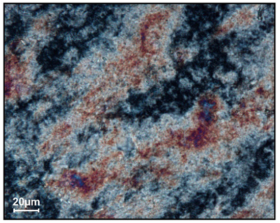 Crystals | Special Issue : Advances in Cholesteric Liquid Crystals
