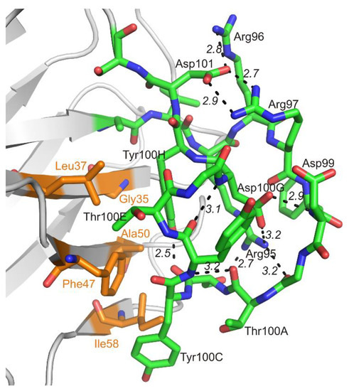 Fab Fragment of VHH-Based Antibody Netakimab: Crystal Structure and ...
