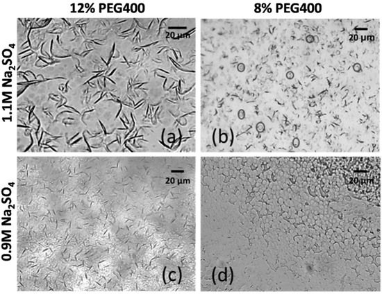 Crystals | Special Issue : Protein Crystallography