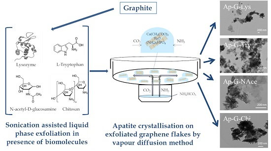 Crystals | Free Full-Text | Induced Nucleation of Biomimetic ...