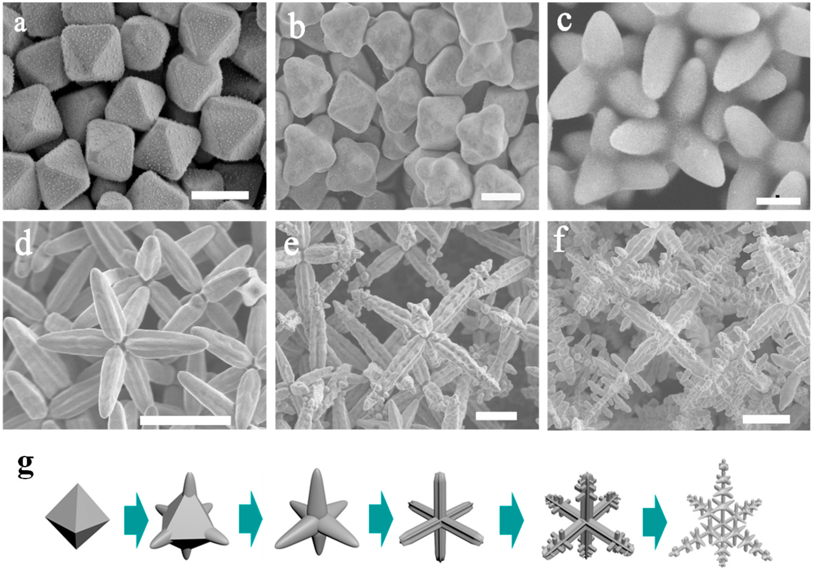 Stepwise Evolution of AgCl Microcrystals from Octahedron into Hexapod ...
