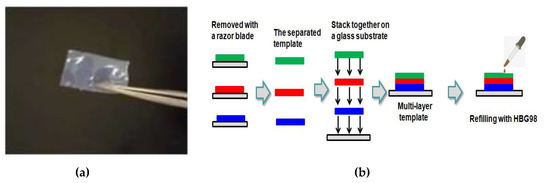 Multi-Wavelength Filters of Templated Blue Phase Liquid Crystal