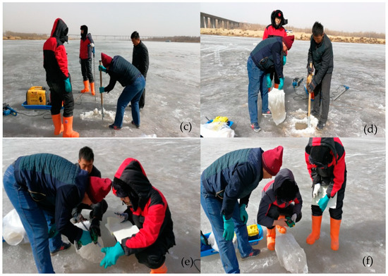 The Microstructure of Yellow River Ice in the Freezing Period