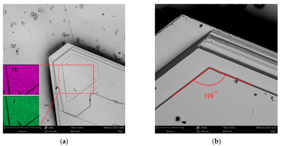 PbI2 Single Crystal Growth and Its Optical Property Study
