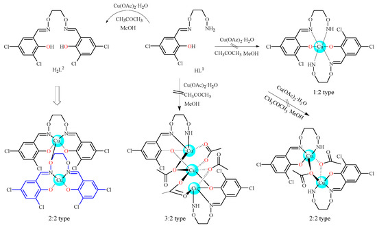 Unprecedented Dinuclear CuII N,O-Donor Complex: Synthesis, Structural ...