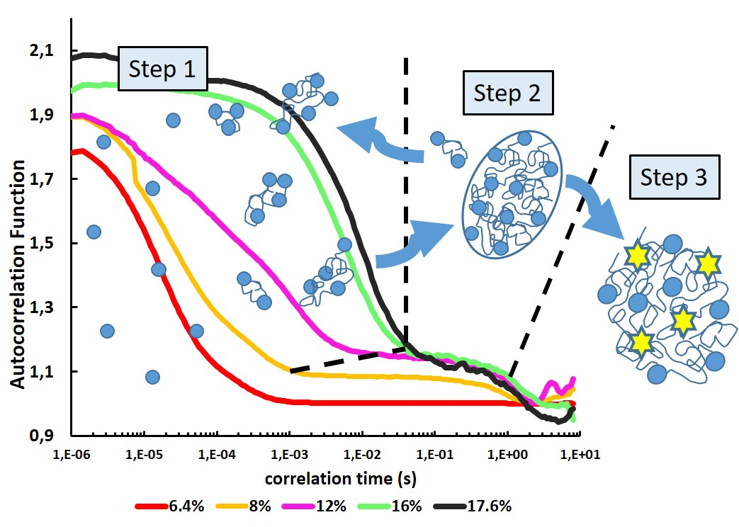 Crystals | Free Full-Text | Multi-Step Concanavalin A Phase Separation ...