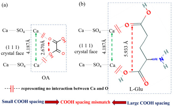 Effect of Molecular Structure of Organic Acids on the Crystal Habit of ...