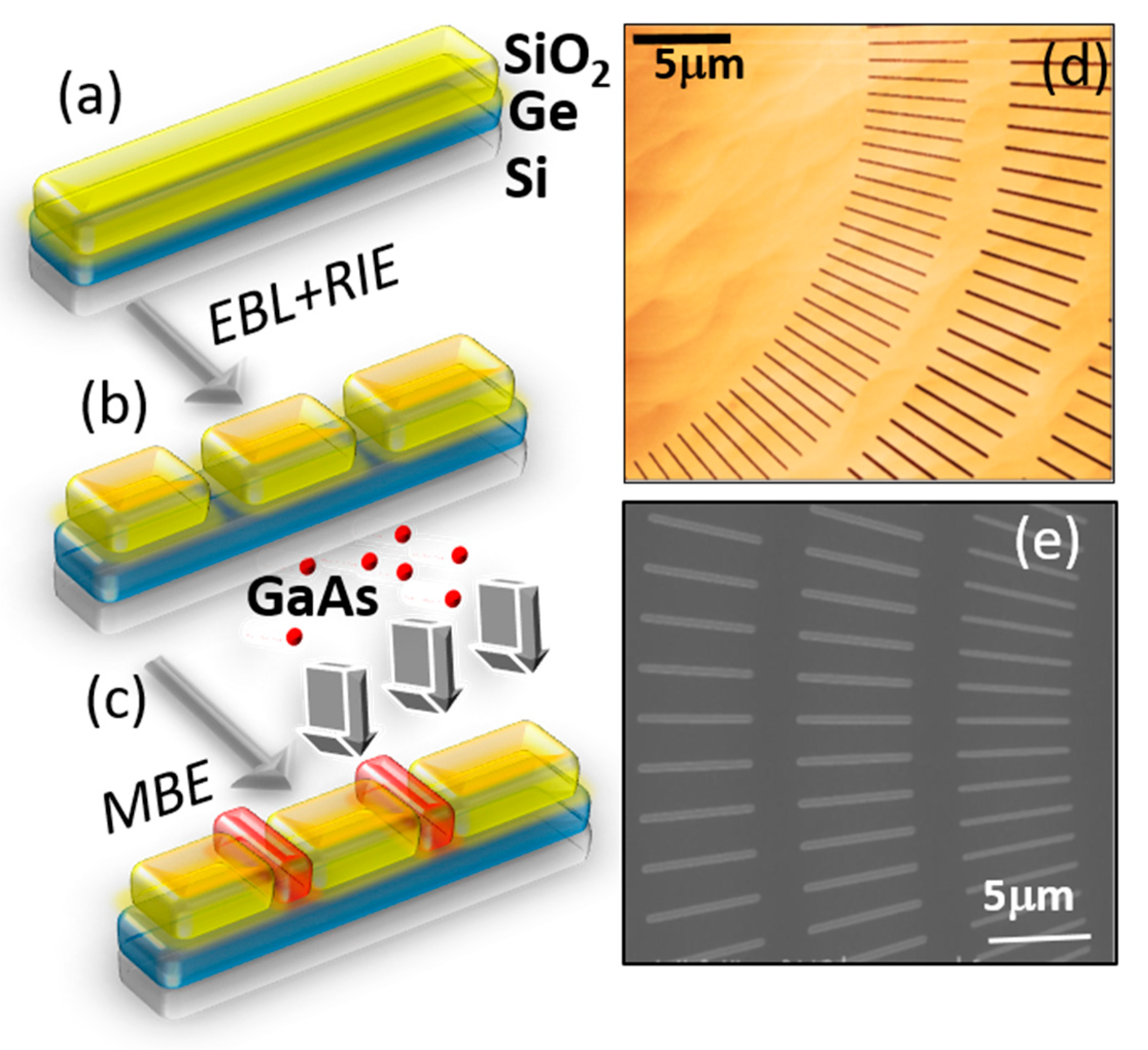 Selective Area Epitaxy of GaAs/Ge/Si Nanomembranes: A Morphological Study