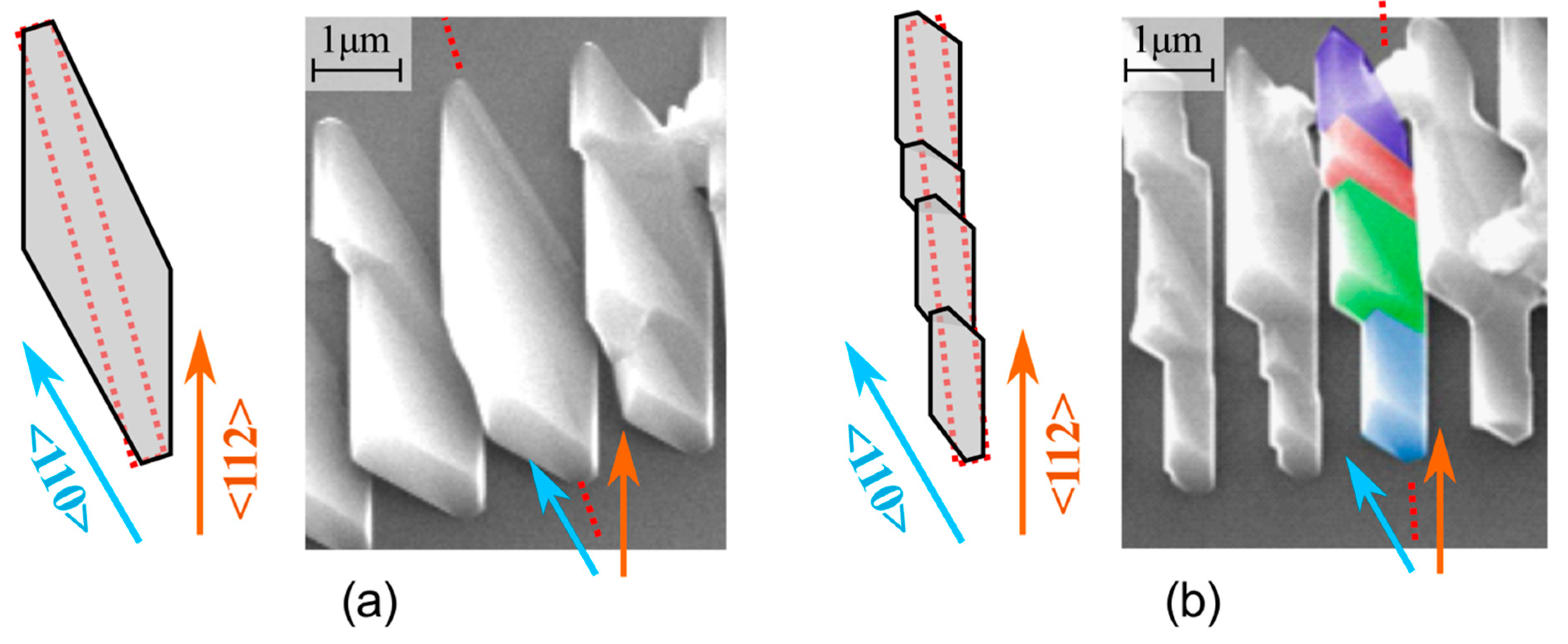 Selective Area Epitaxy of GaAs/Ge/Si Nanomembranes: A Morphological Study