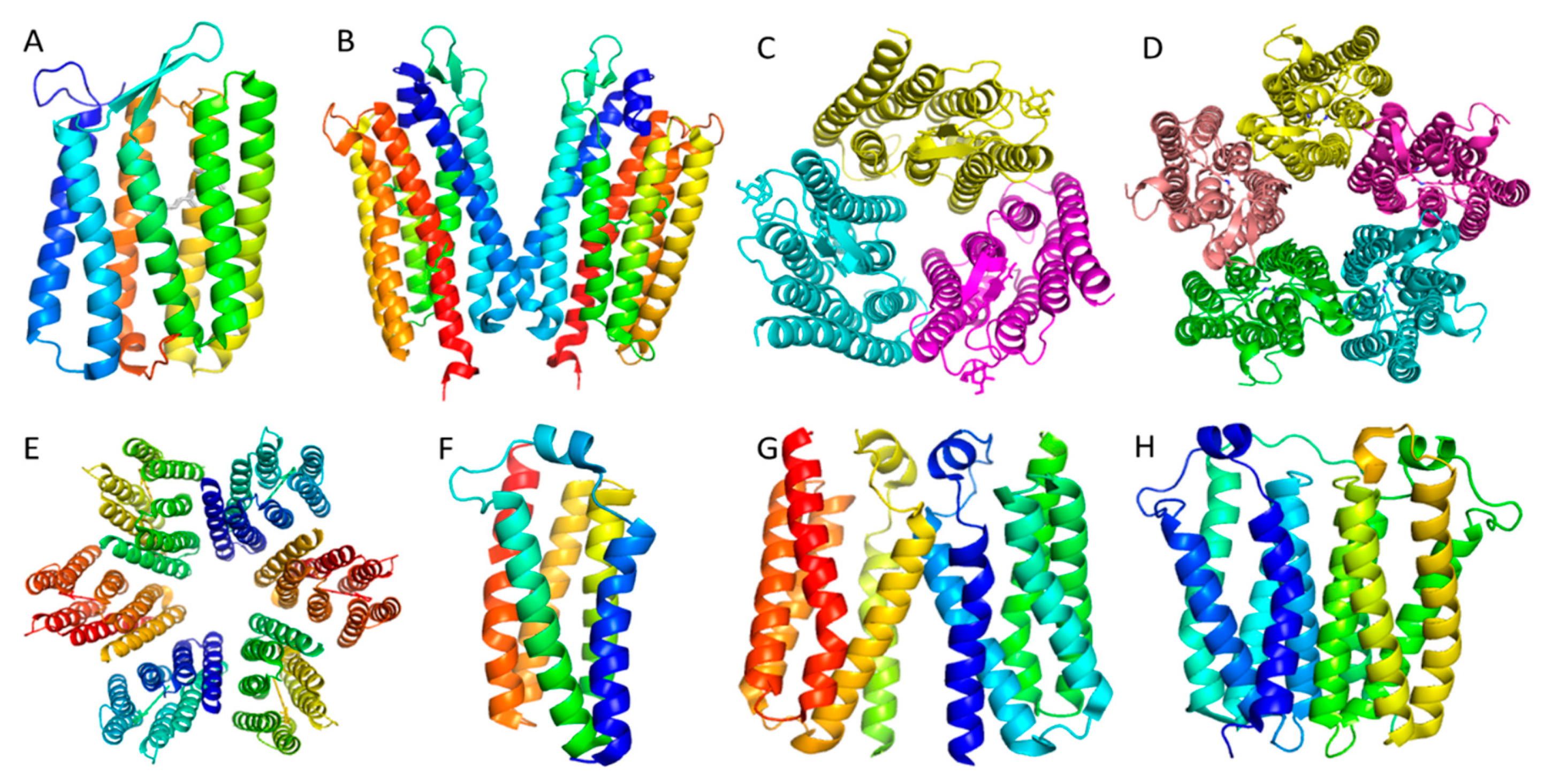 Protein Crystal Structure