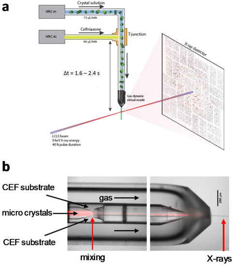 Reaction Initiation in Enzyme Crystals by Diffusion of Substrate