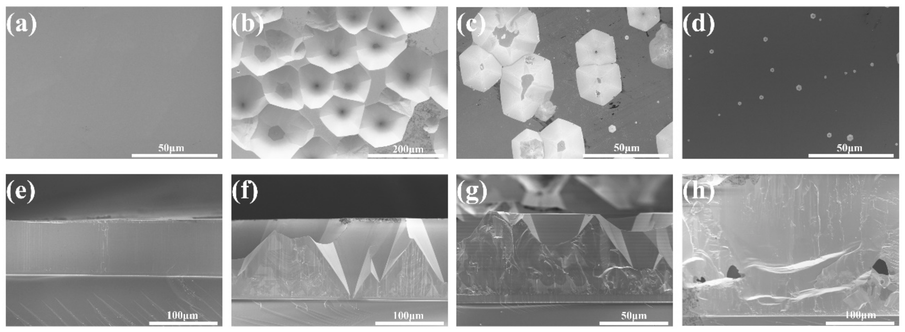 Growth of Freestanding Gallium Nitride (GaN) Through Polyporous ...