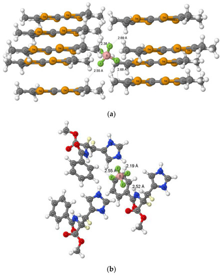 Hydrogen Bonds with BF4− Anion as a Proton Acceptor