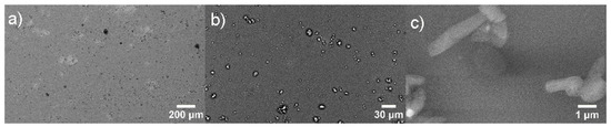Crystals | Free Full-Text | Growth and Structural Characterization of ...