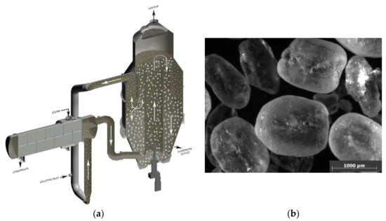 The Steps from Batchwise to Continuous Crystallization for a Fine ...