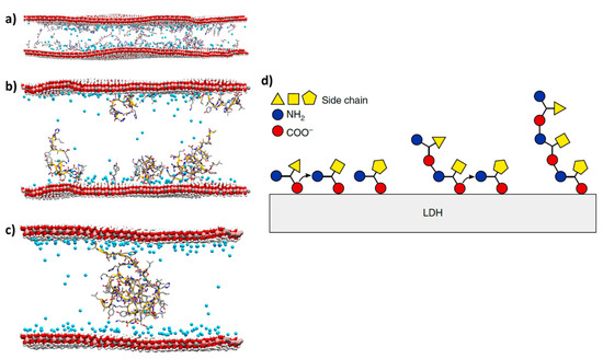 Layered Double Hydroxides in Bioinspired Nanotechnology
