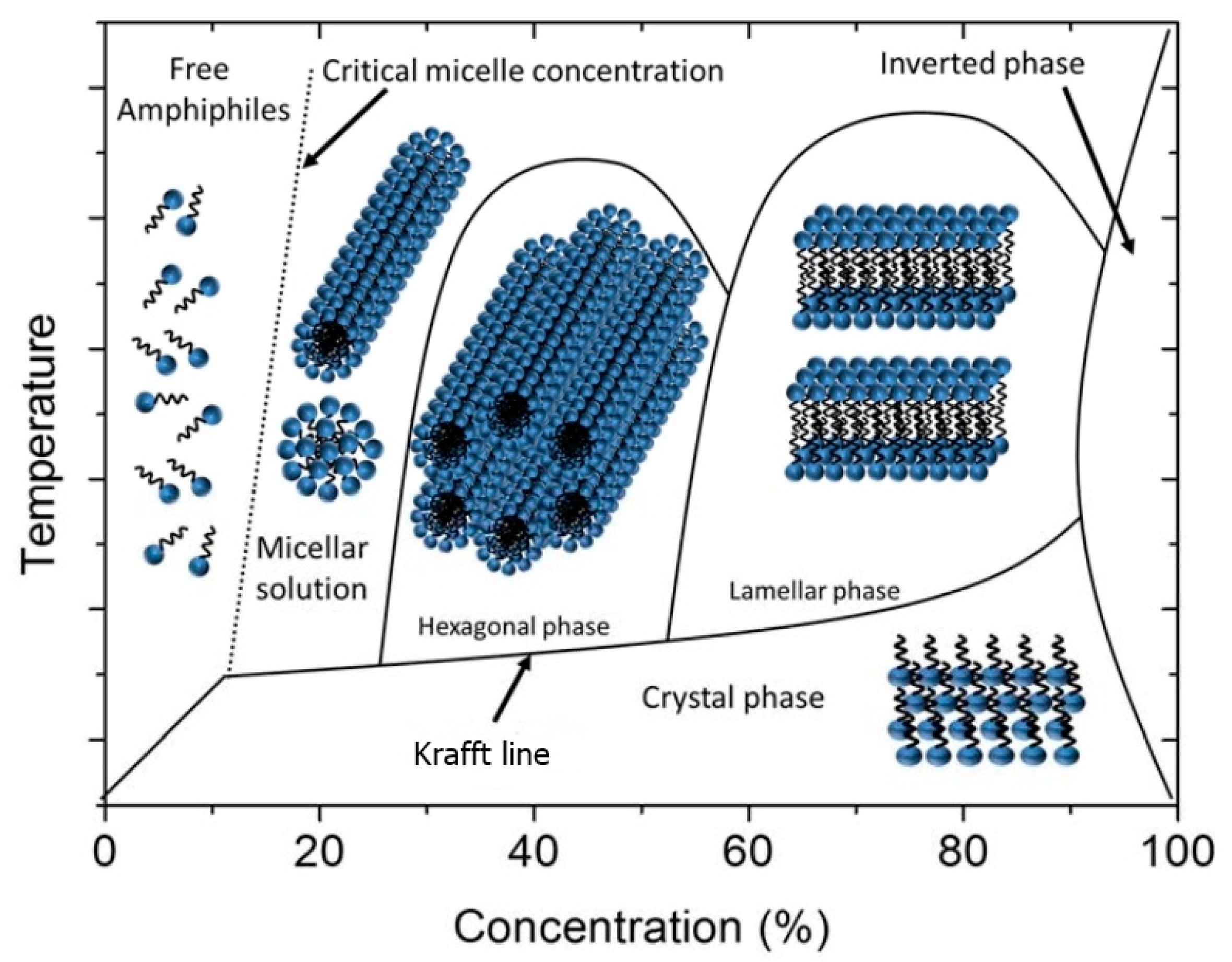 Novel Trends in Lyotropic Liquid Crystals