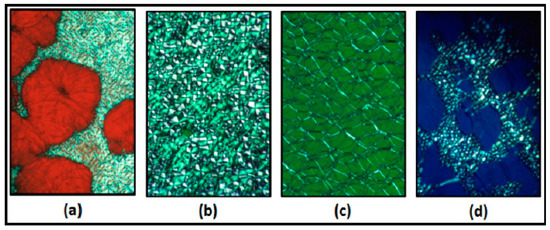 Novel Trends in Lyotropic Liquid Crystals