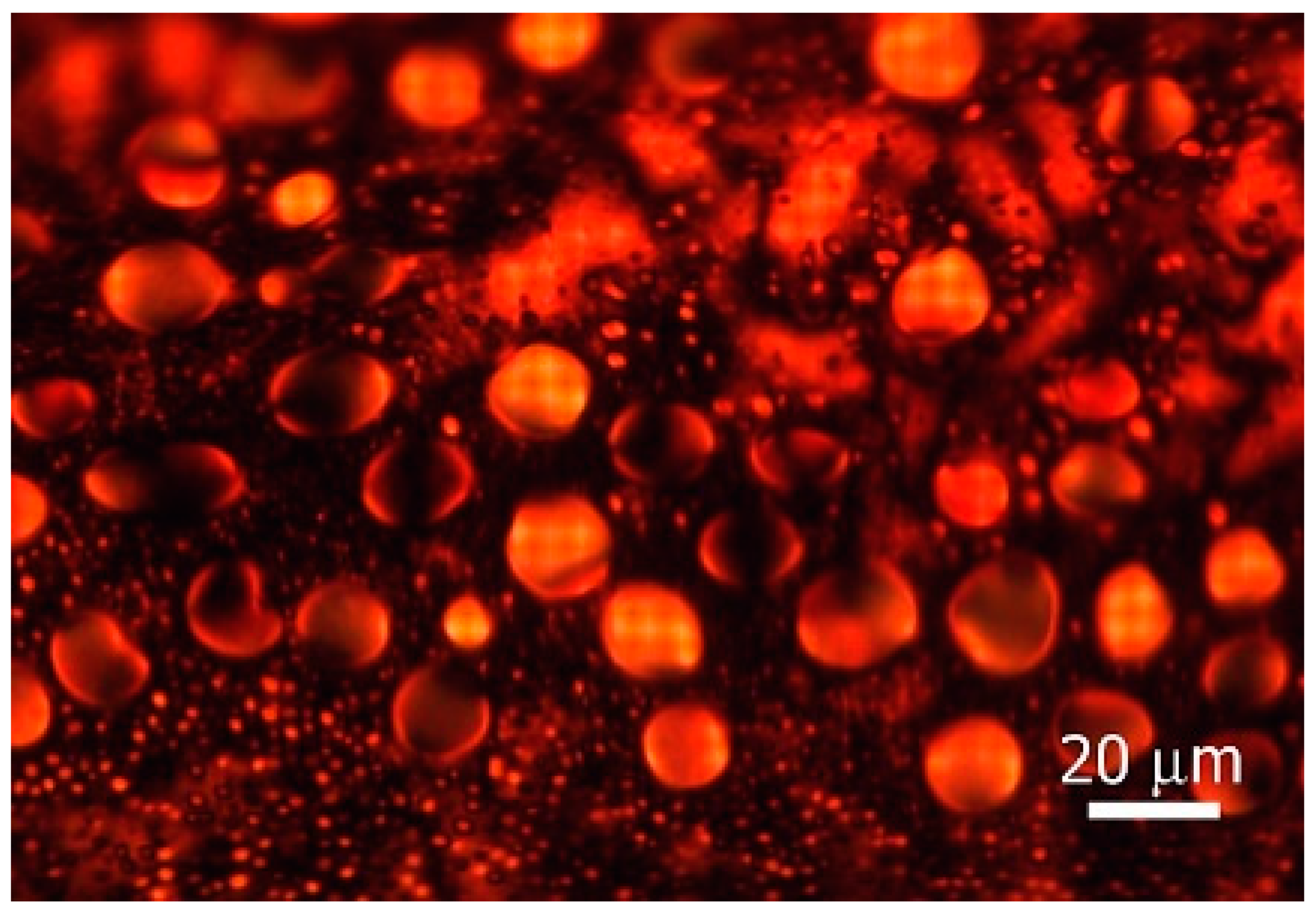 Novel Trends in Lyotropic Liquid Crystals