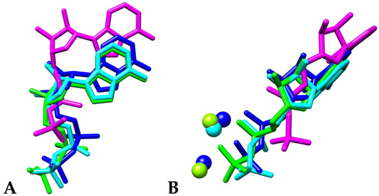 Crystal Structure of the Apo and the ADP-Bound Form of Choline Kinase ...