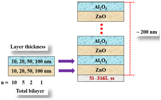 Structure and Surface Morphology Effect on the Cytotoxicity of [Al2O3 ...